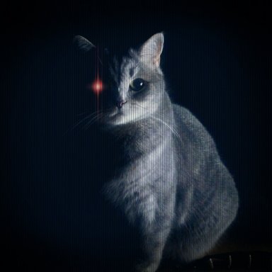 Looking for the "best" (as in fastest) laptop (SODIMM) DDR4 RAM ...