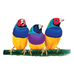 ViewSonic Debuts New Smart, Interactive Display Solutions | TechPowerUp